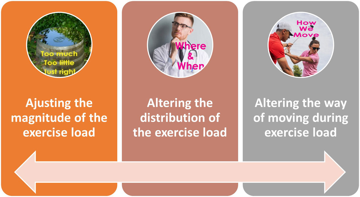 Adjusting the exercise load to manage musculoskeletal pain syndrome ...