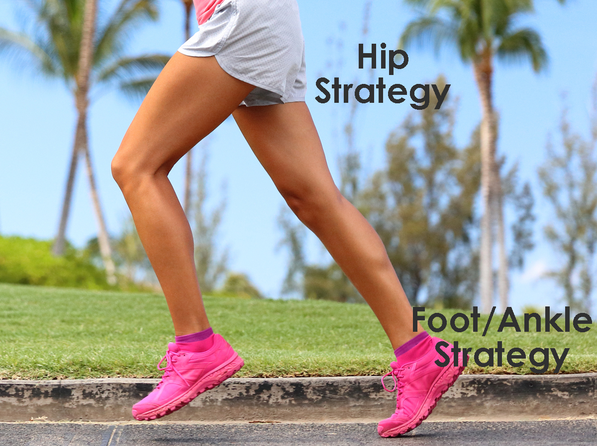 Balancing joint capacity and exercise load using synergistic muscle ...